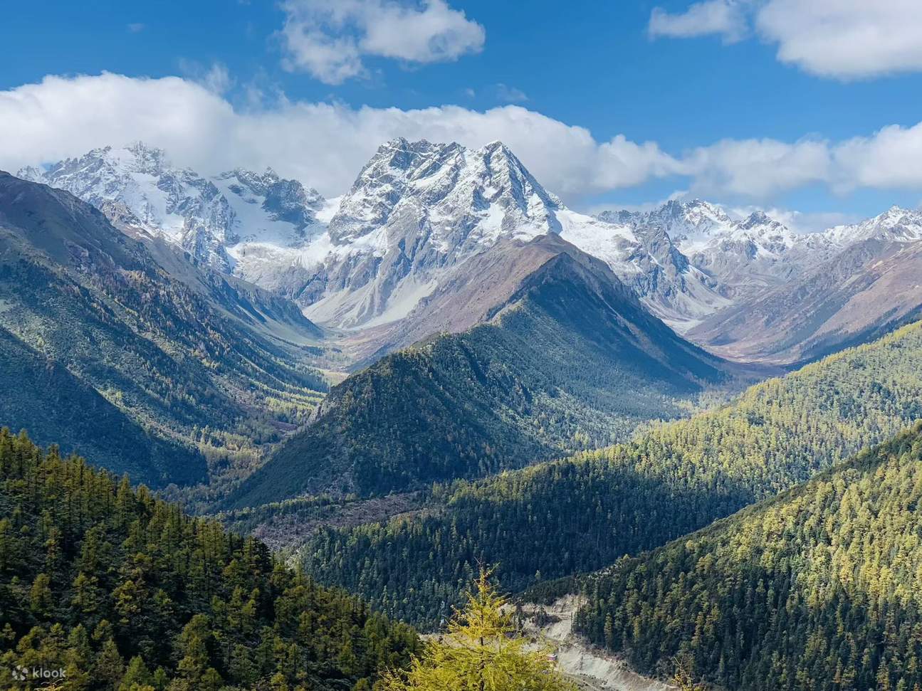 5-Day Yunnan Luxury Shangri-La Tour Exploring Yunnan Golden Monkey ...